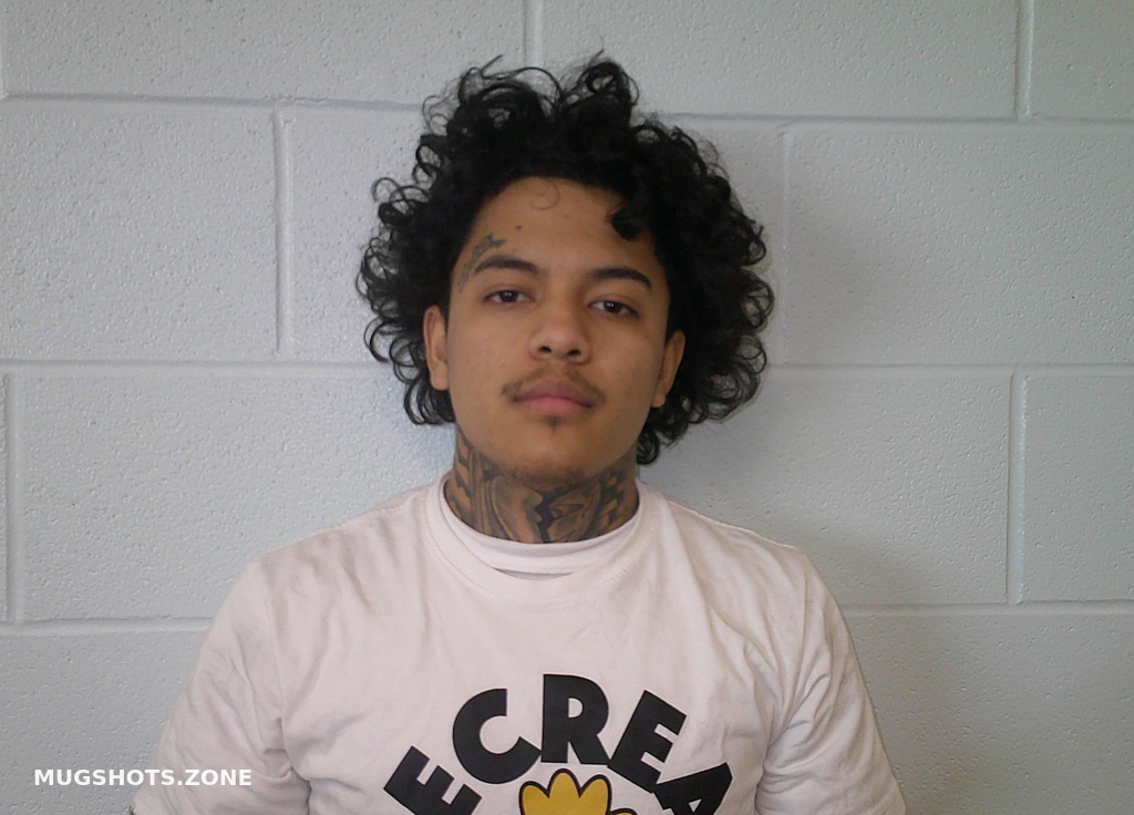 PENA-RAMIREZ DANIEL 07/08/2024 - Burnet County Mugshots Zone