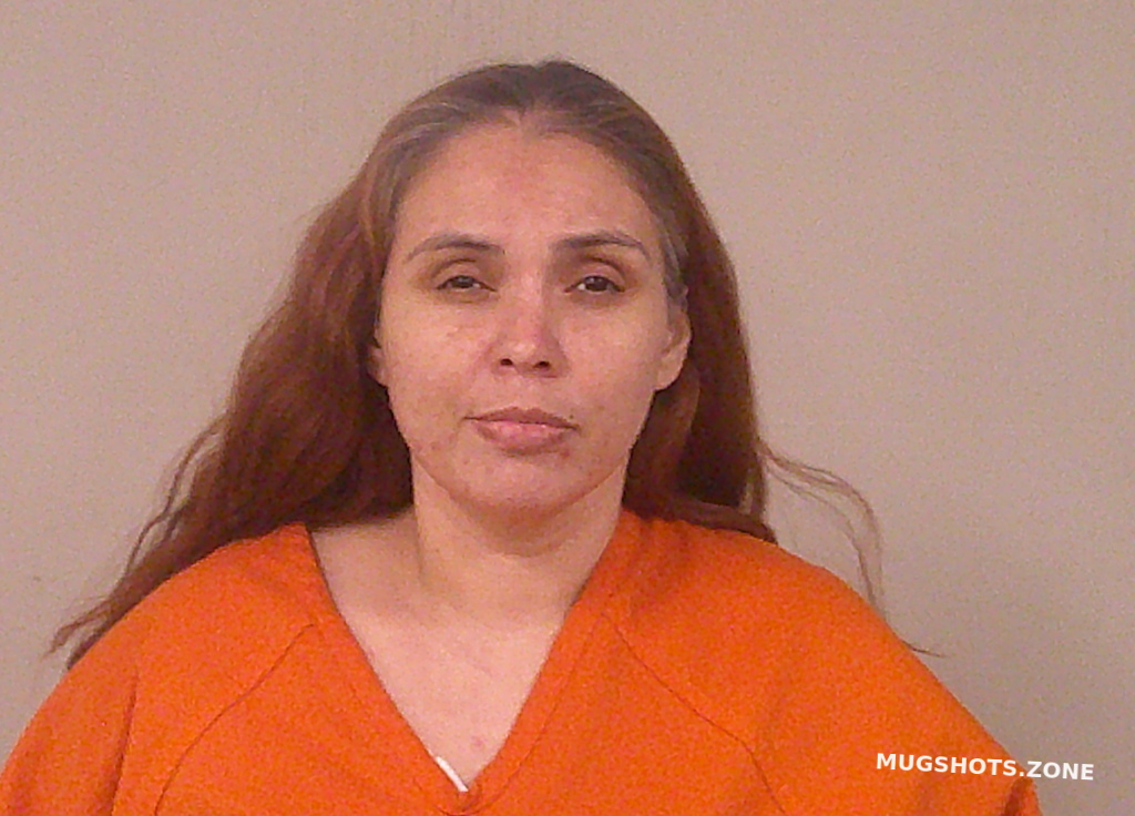 GARCIA MARIA ELIZABETH 07/08/2024 - Burnet County Mugshots Zone