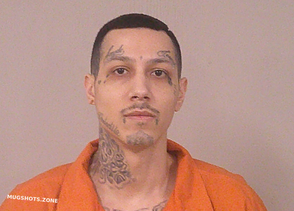 ARANDA ANDREW FERNANDOL 07/23/2024 - Burnet County Mugshots Zone