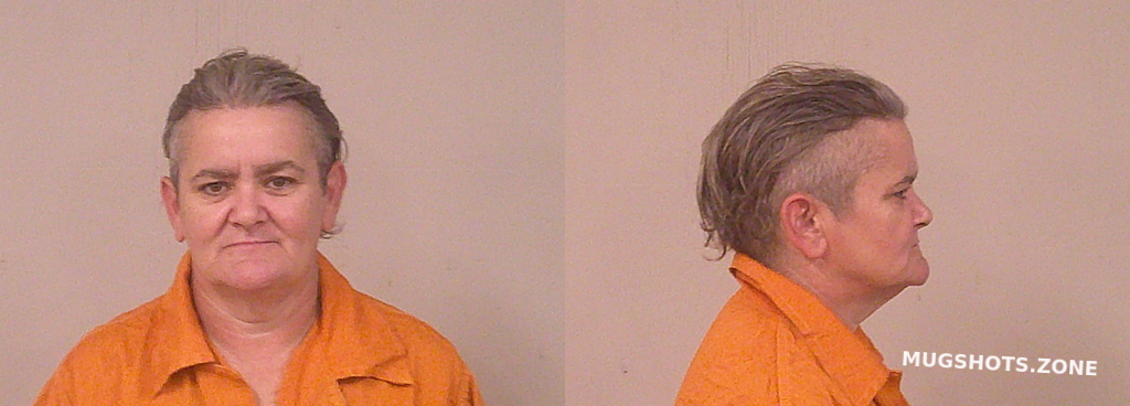 GOAD JENNIFER ANN 07/31/2024 - Burnet County Mugshots Zone