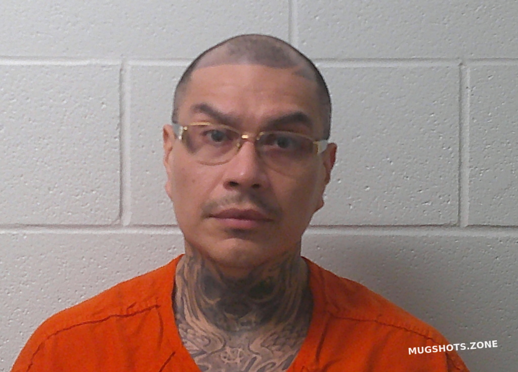 GOMEZ NICK JR 08/22/2024 - Burnet County Mugshots Zone