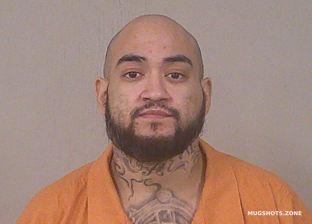 MARTINEZ CHRISTOPHER OLMOS 08/30/2024 - Burnet County Mugshots Zone