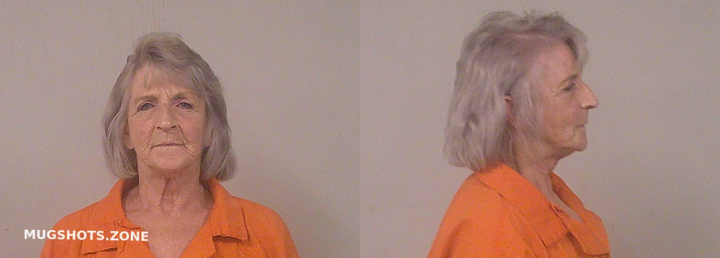 MEARS BECKY DENISE 09/12/2024 - Burnet County Mugshots Zone