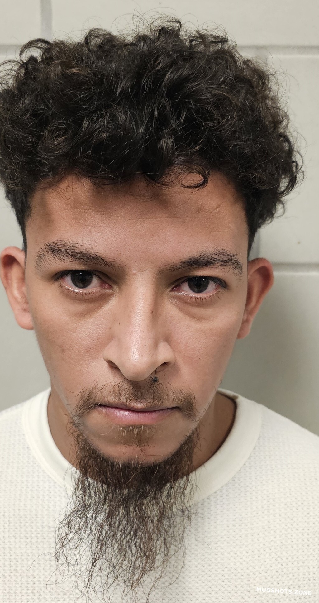 PINEDA-RODRIGUEZ SANDRO JACOBO 12/10/2024 - Burnet County Mugshots Zone