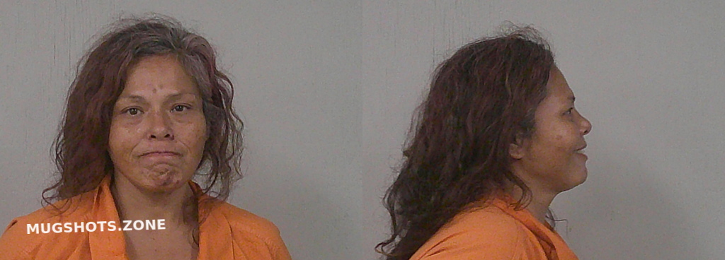 LERMA ALICE MARIE 12/17/2024 - Burnet County Mugshots Zone