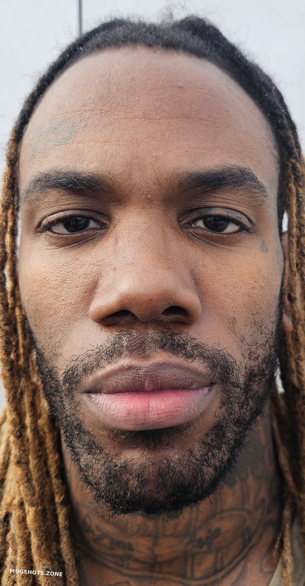 ALDRIDGE CHRISTOPHER JAMAL 12/23/2024 - Burnet County Mugshots Zone