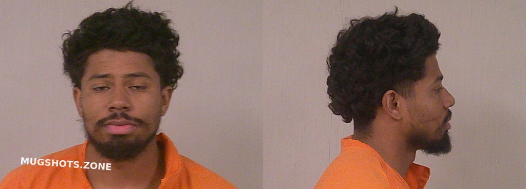 WILCOX MICHAEL ALEXANDER 01/10/2025 - Burnet County Mugshots Zone