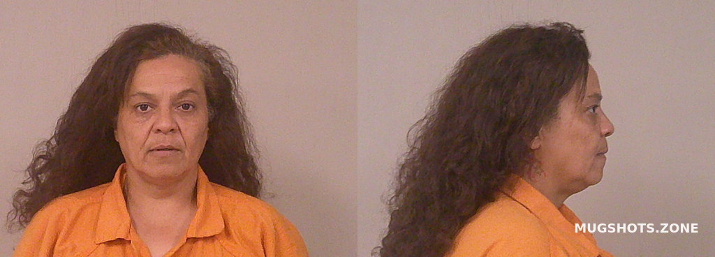 JOWERS MARY JO 02/07/2025 - Burnet County Mugshots Zone