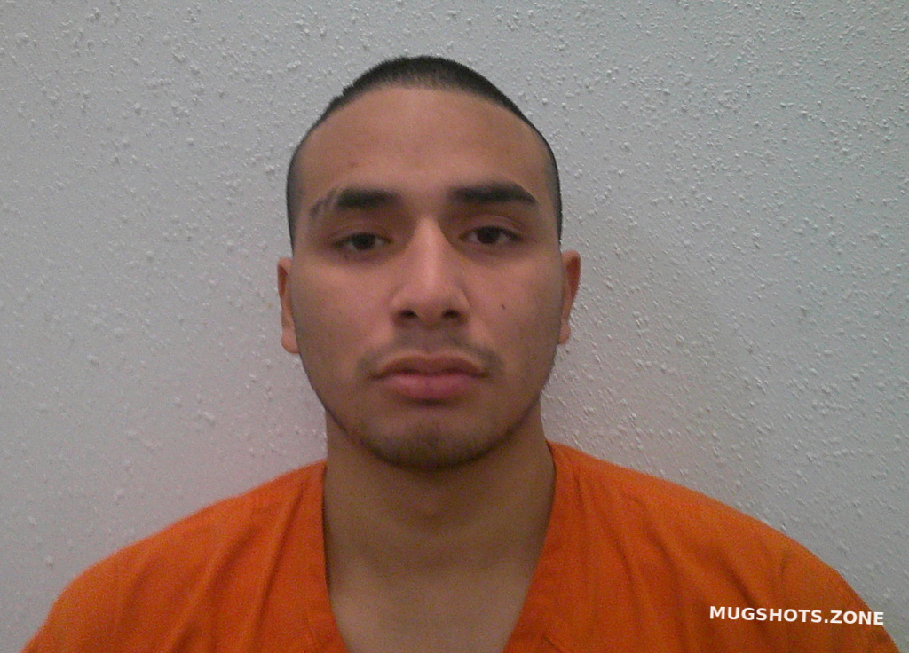 ORTIZ CARY LEE 02/27/2025 - Burnet County Mugshots Zone