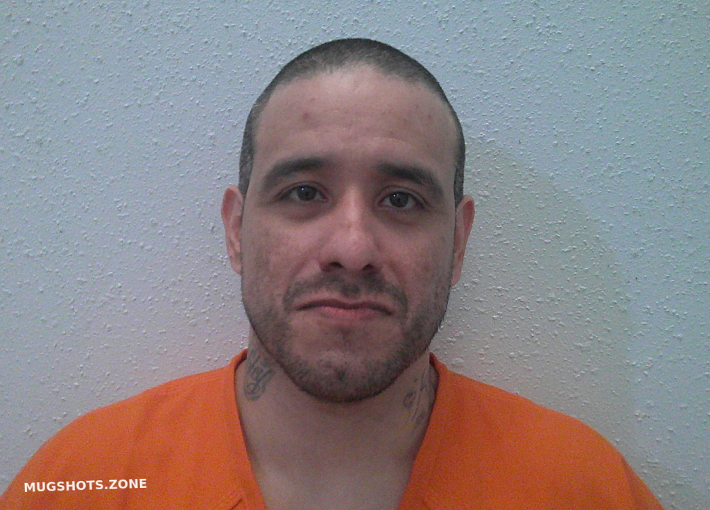 GODINA JONATHAN VICTOR 03/04/2025 - Burnet County Mugshots Zone