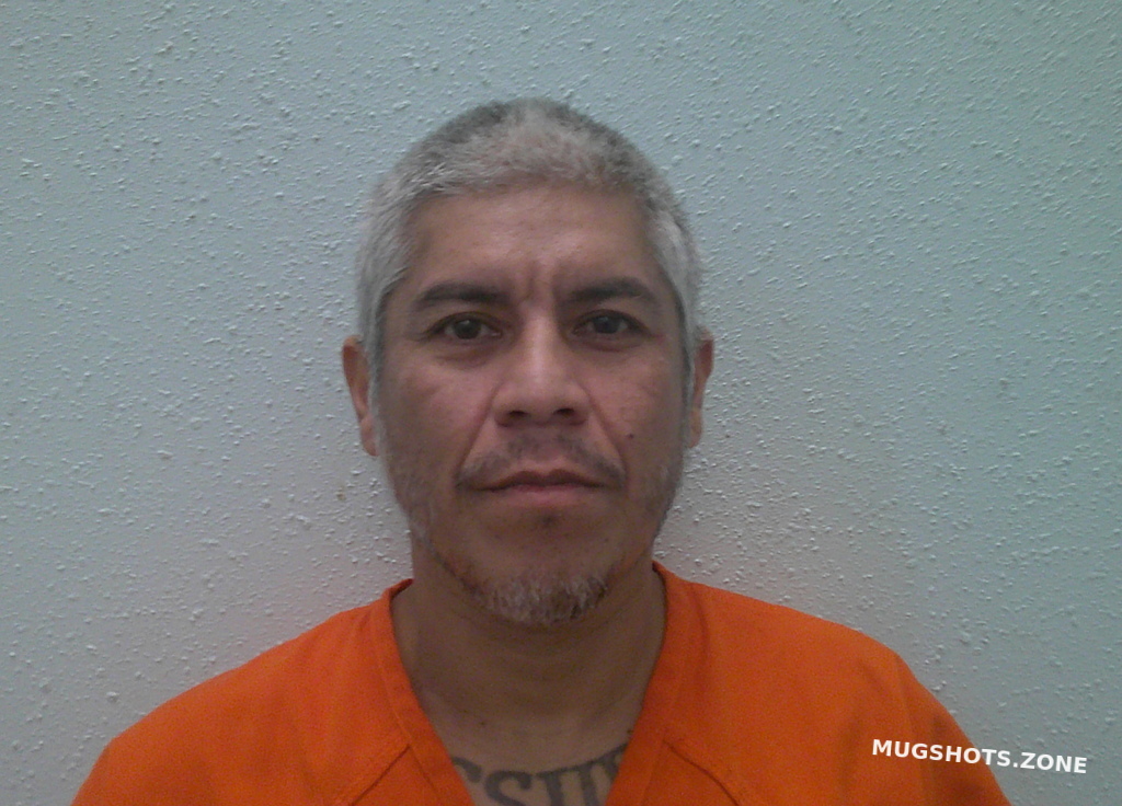 PATLAN RICHARD F 03/21/2025 - Burnet County Mugshots Zone