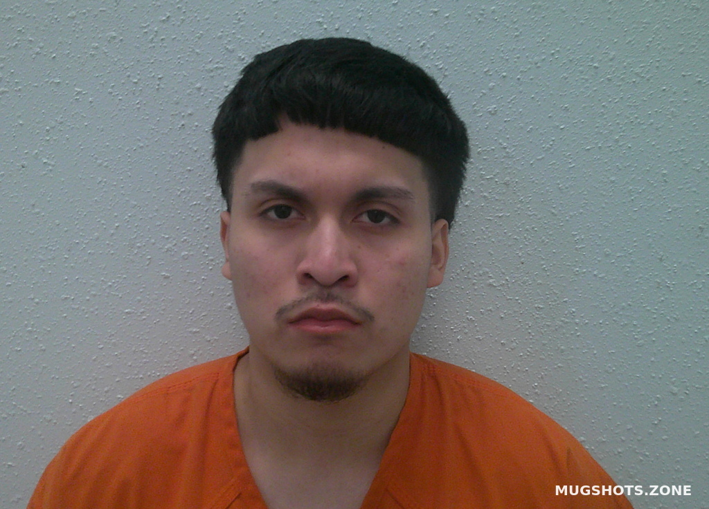REYES STEVEN JAVIER 03/21/2025 - Burnet County Mugshots Zone