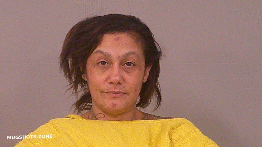 VASQUEZ DIANDRA IBARRA 04/07/2025 - Burnet County Mugshots Zone