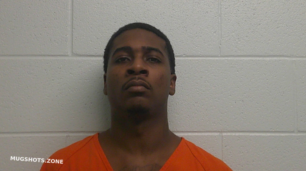 WILLIAMS ALEXANDER OWEN 04/10/2025 - Burnet County Mugshots Zone