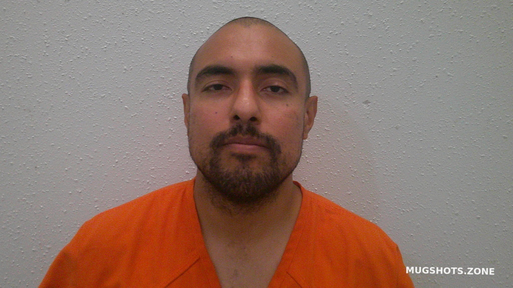 ROSAS ISMAEL JR 04/23/2025 - Burnet County Mugshots Zone