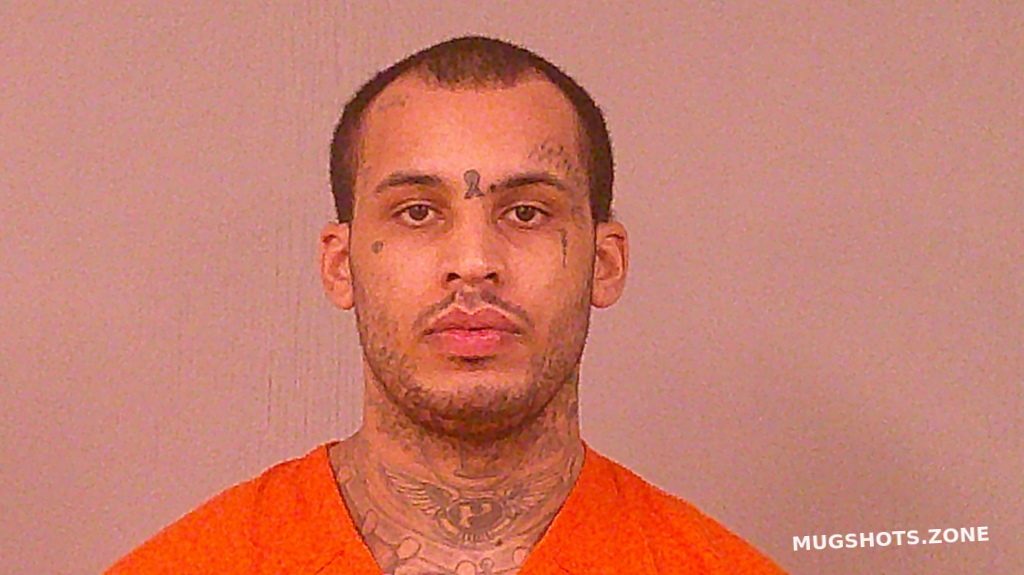 HALVERSON ADRIAN ALLEN 05/28/2025 - Burnet County Mugshots Zone