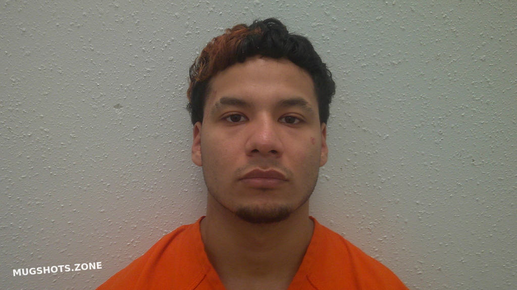 BENITEZ ELVIS RAY 06/13/2025 - Burnet County Mugshots Zone