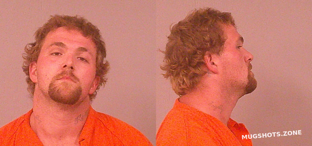 DEFELICE ROBERT LOUIS 11/08/2025 - Burnet County Mugshots Zone
