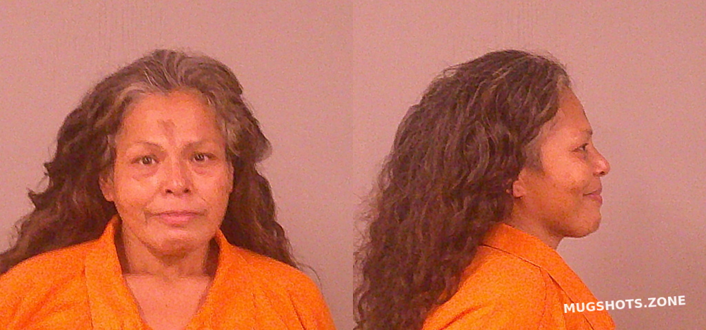 LERMA ALICE MARIE 12/26/2025 - Burnet County Mugshots Zone