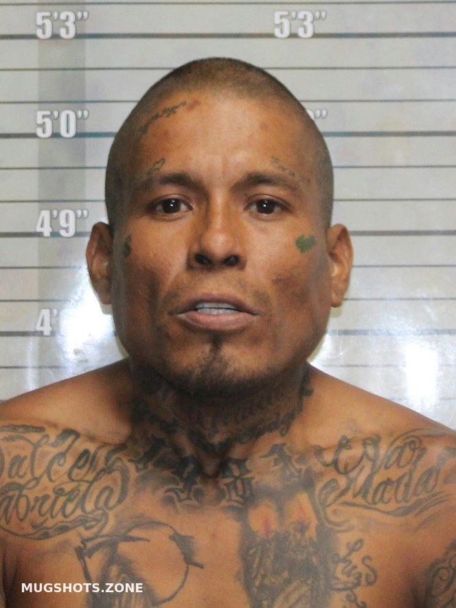 JUAREZ VILCHES JOSE 08/28/2024 - Butler County Mugshots Zone