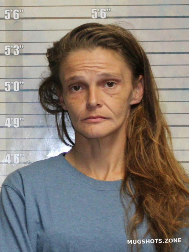 ALLISON CHRISTY L 10/29/2024 - Butler County Mugshots Zone