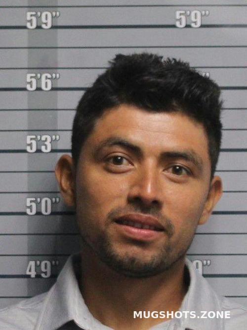 MARQUEZ AMAYA MOISES 06/22/2025 - Butler County Mugshots Zone