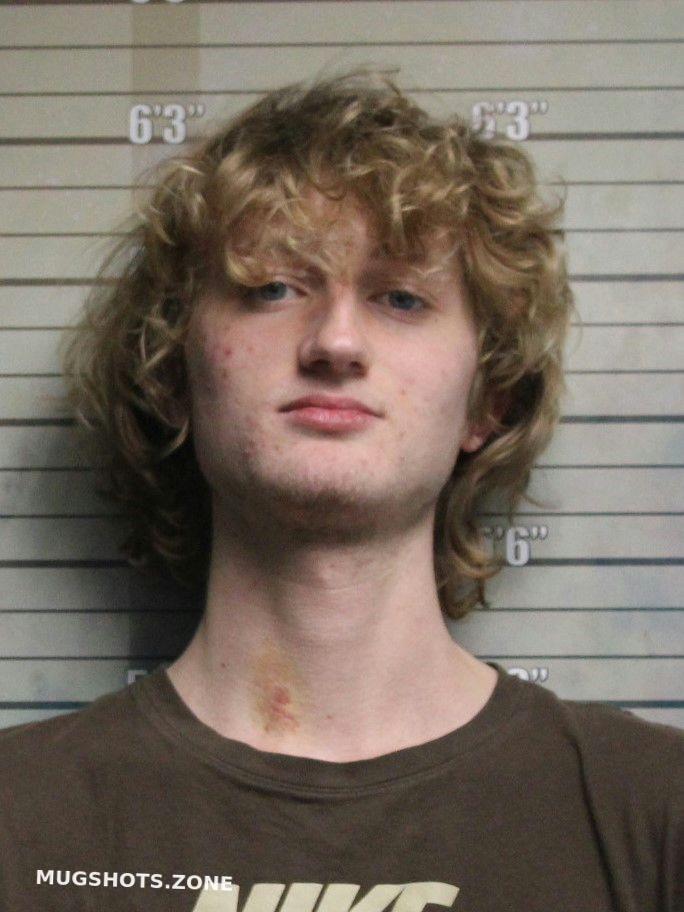 DILLINGHAM ETHAN DALE 11/01/2025 - Butler County Mugshots Zone
