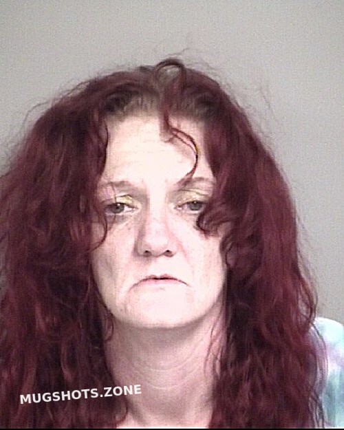 HIGGINS NICHOLETTE MARIE 02/02/2023 - Cabarrus County Mugshots Zone