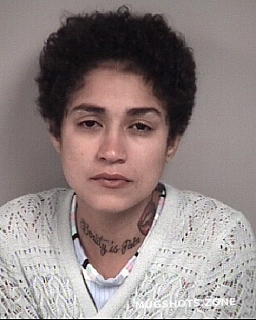 RIPPY TIFFANY NICOLE 04/22/2023 - Cabarrus County Mugshots Zone