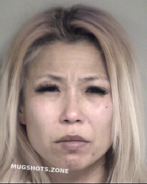 LEE FRANCES & 02/07/2024 - Cabarrus County Mugshots Zone