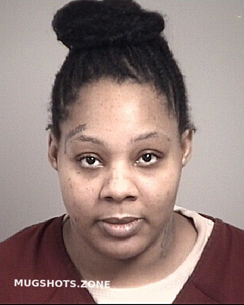 FITZPATRICK KARI DARSHEY 09/22/2024 - Cabarrus County Mugshots Zone