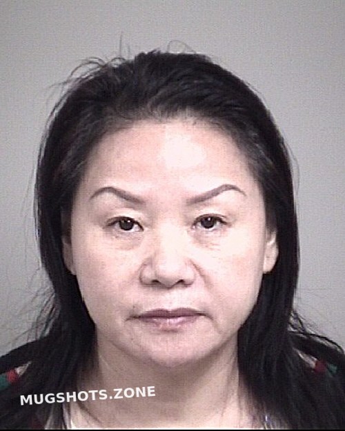 LU LIFANG & 01/03/2025 - Cabarrus County Mugshots Zone