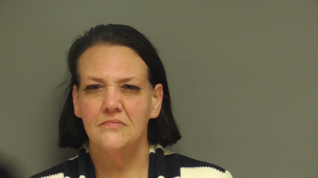 WILLIAMSON LORI ALLISON 04/24/2021 - Calhoun County Mugshots Zone