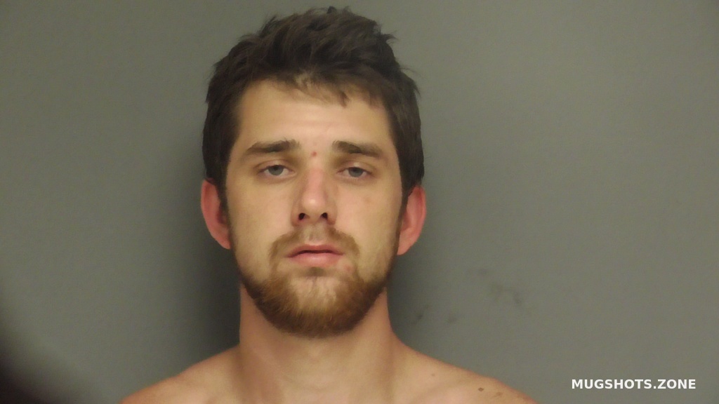 HAMBRIC WESLEY PATRICK-LOGAN 02/24/2023 - Calhoun County Mugshots Zone
