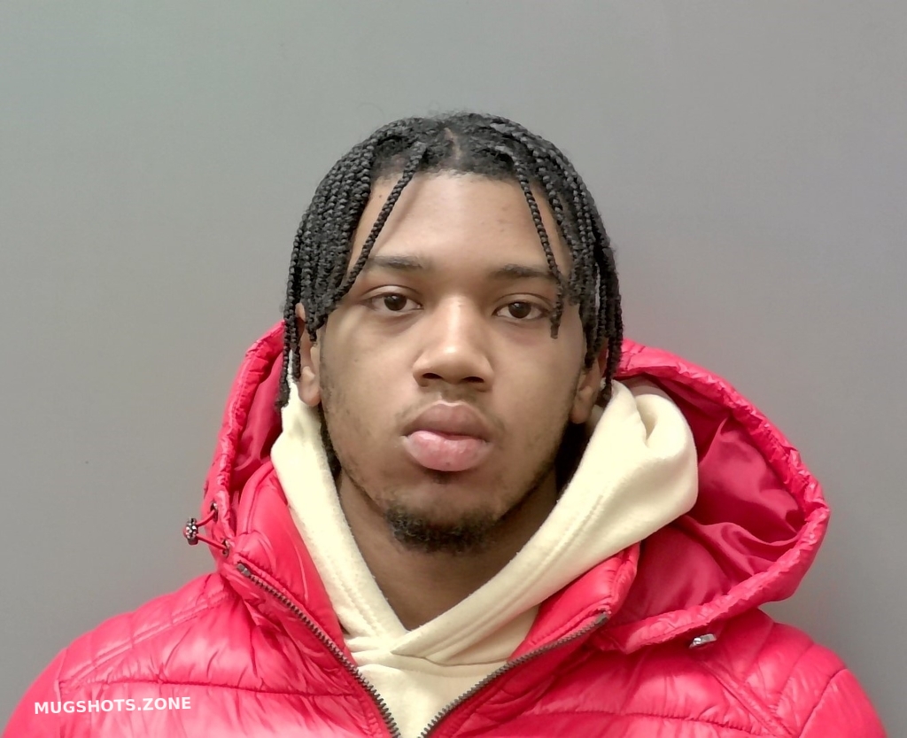 LONG JALEIK REMETRIUS 01/11/2024 - Calhoun County Mugshots Zone