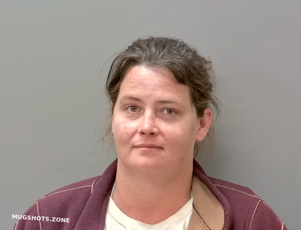 ROLLINS AUTUMN NICOLE 08/06/2024 - Calhoun County Mugshots Zone