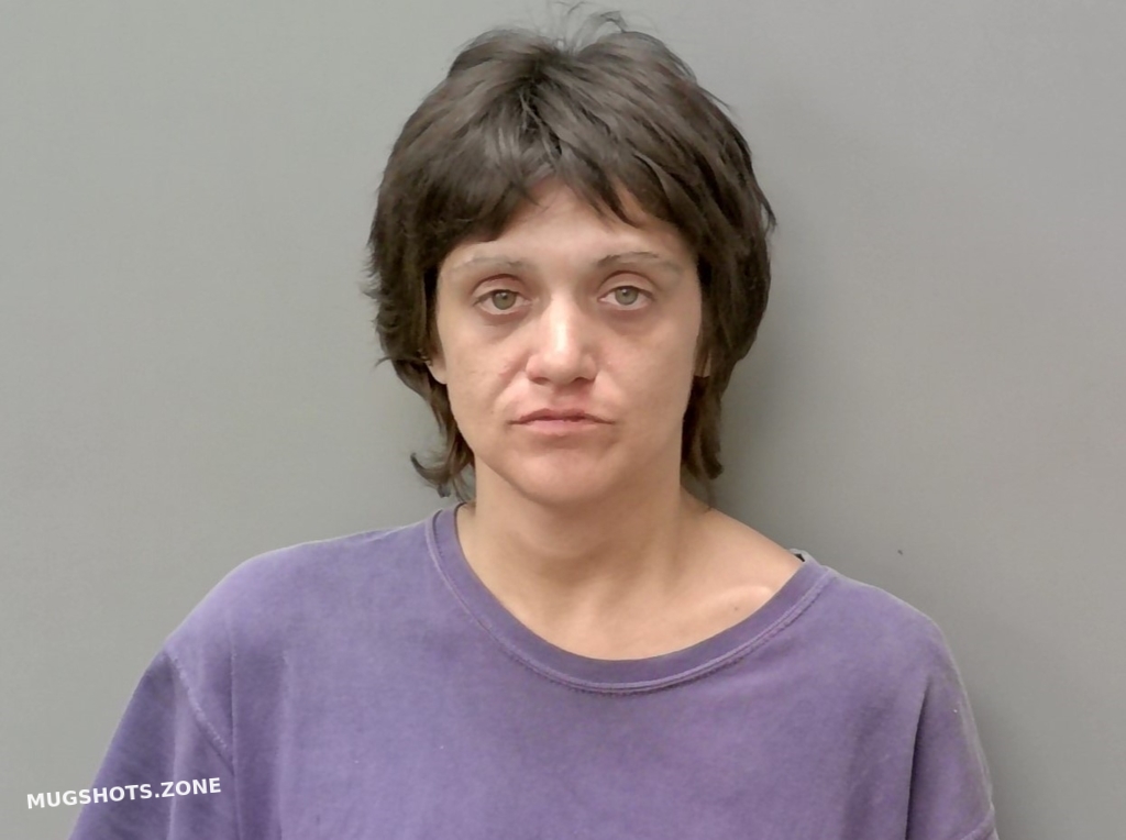 GOLDSMITH CHRISTIN FAITH 10/24/2024 - Calhoun County Mugshots Zone