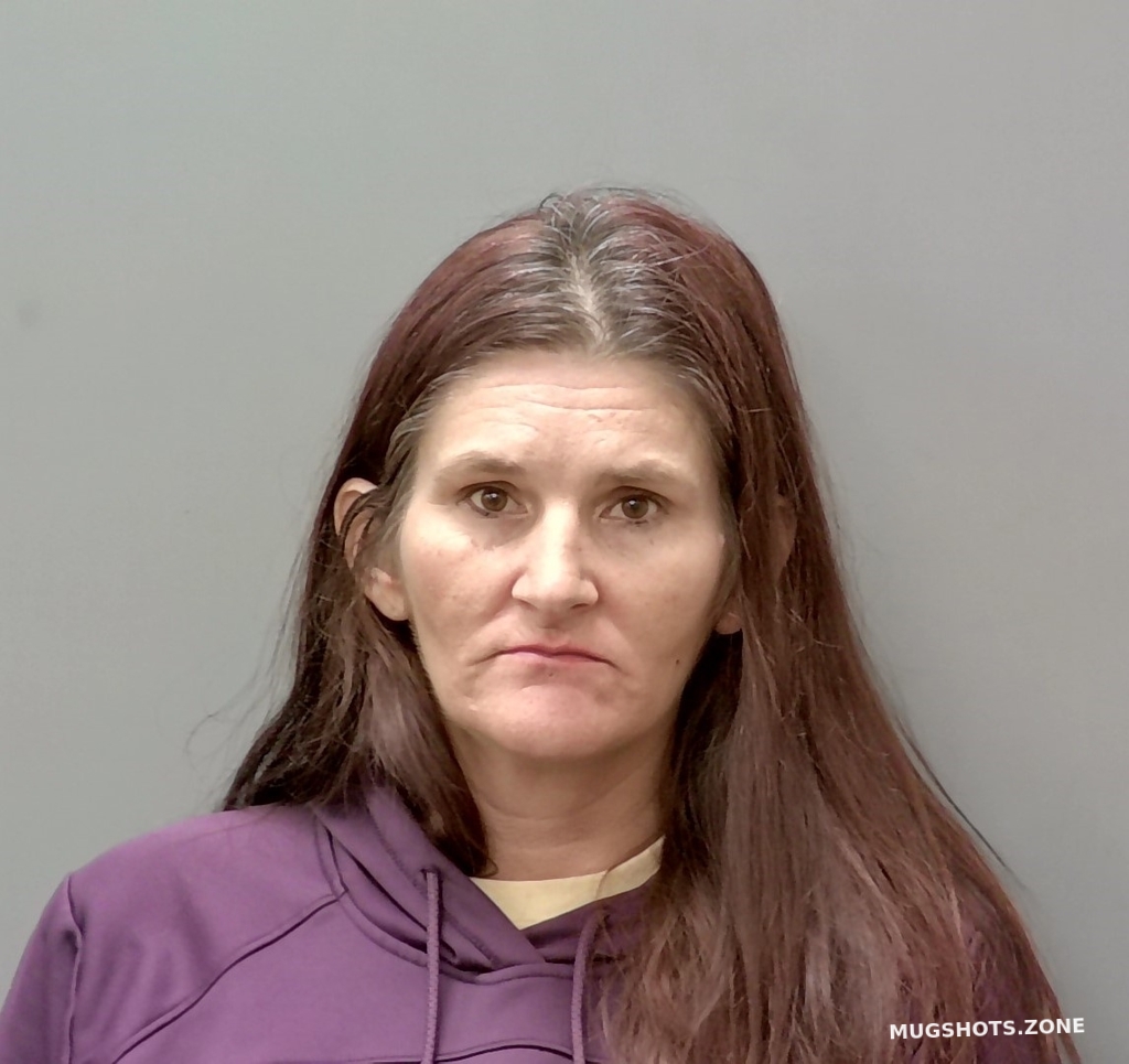 GADDY SONYA FAYE 11/07/2024 - Calhoun County Mugshots Zone