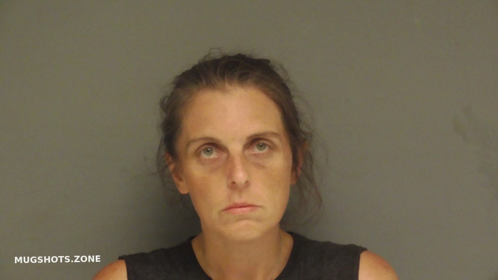 HAMILTON ROBIN CODY 11/24/2024 - Calhoun County Mugshots Zone