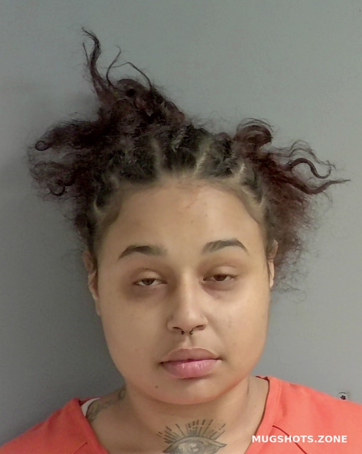 HODGE KRISTINA PAIGE 01/16/2025 - Calhoun County Mugshots Zone
