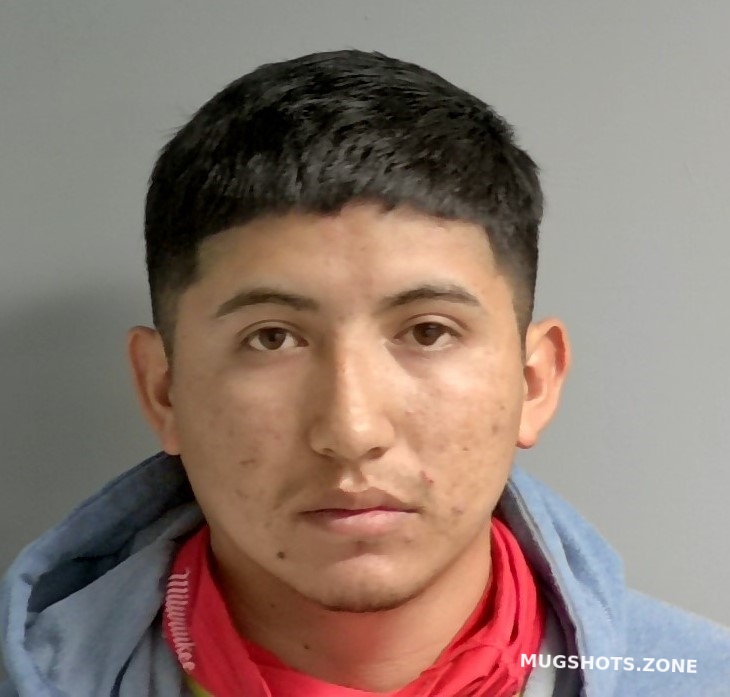 NUNEZ EMMANUEL ALONSO 01/16/2025 - Calhoun County Mugshots Zone