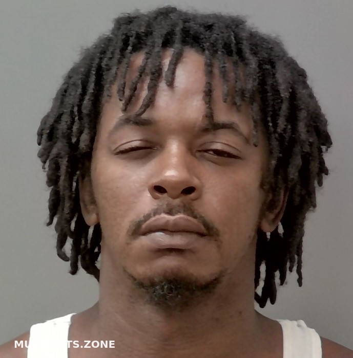 SWINK JAMIE LAVON 01/29/2025 - Calhoun County Mugshots Zone