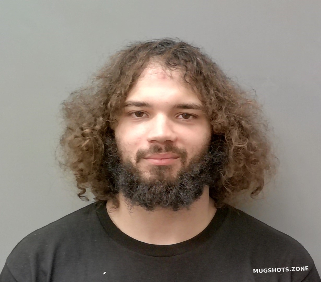 HAMILTON BRANDON TREY 02/17/2025 - Calhoun County Mugshots Zone