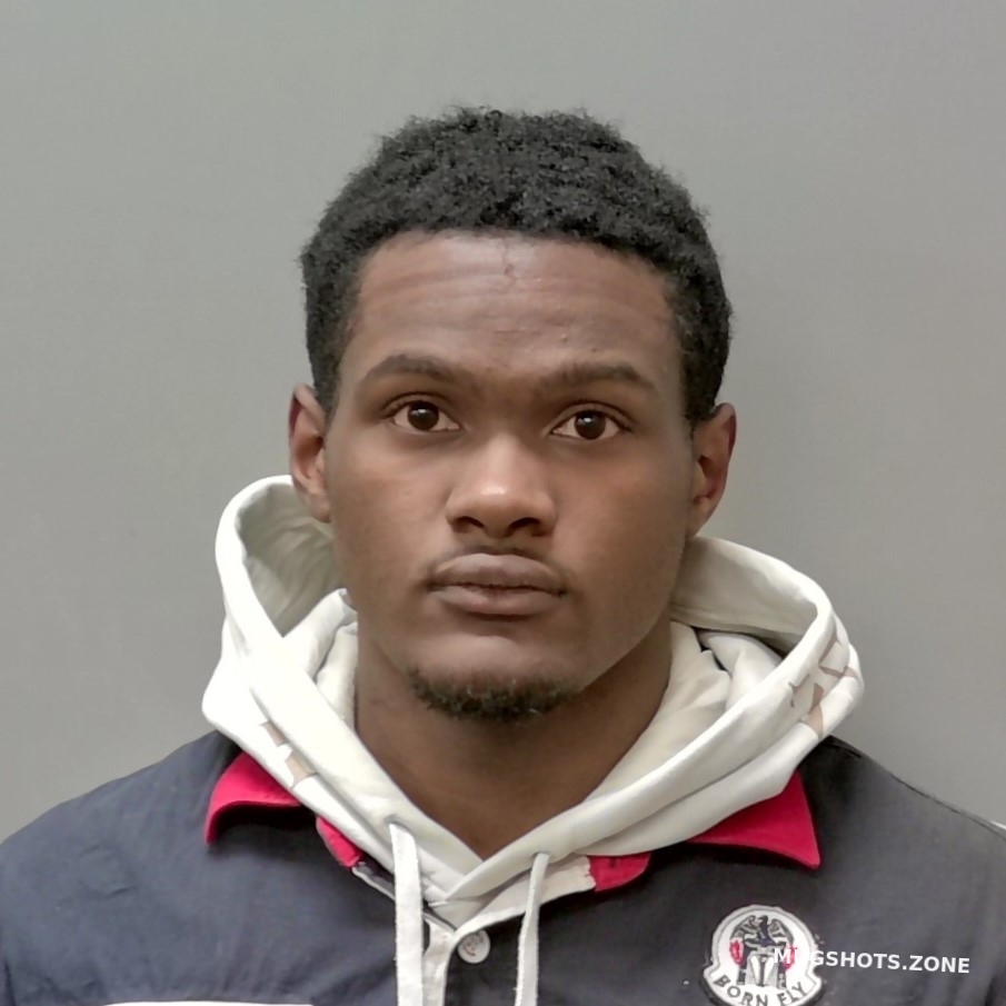 LEWIS JESSE MILAN 03/26/2025 - Calhoun County Mugshots Zone