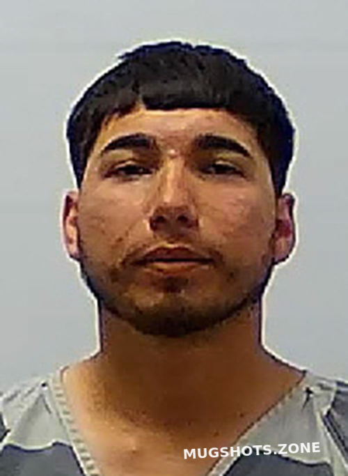 ALVAREZ EUGENIO 10/21/2024 - Calhoun County Mugshots Zone