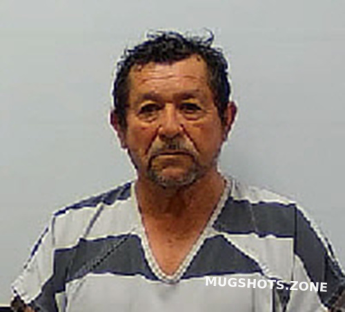 CASTILLO EDELMIRO 10/22/2024 - Calhoun County Mugshots Zone