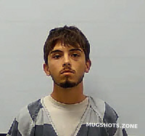 CASTILLO DANIEL NATHAN 10/23/2024 - Calhoun County Mugshots Zone