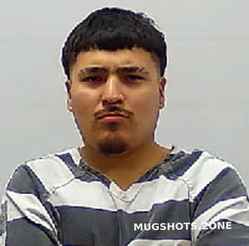 FLORES AIDEN RAY 01/25/2025 - Calhoun County Mugshots Zone