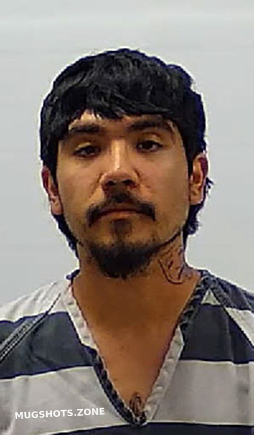 CASTILLO AUSTIN BRYAN 03/20/2025 - Calhoun County Mugshots Zone