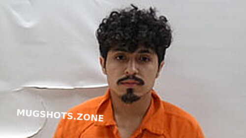 HOMERO VALDEZ 11/24/2022 - Cameron County Mugshots Zone